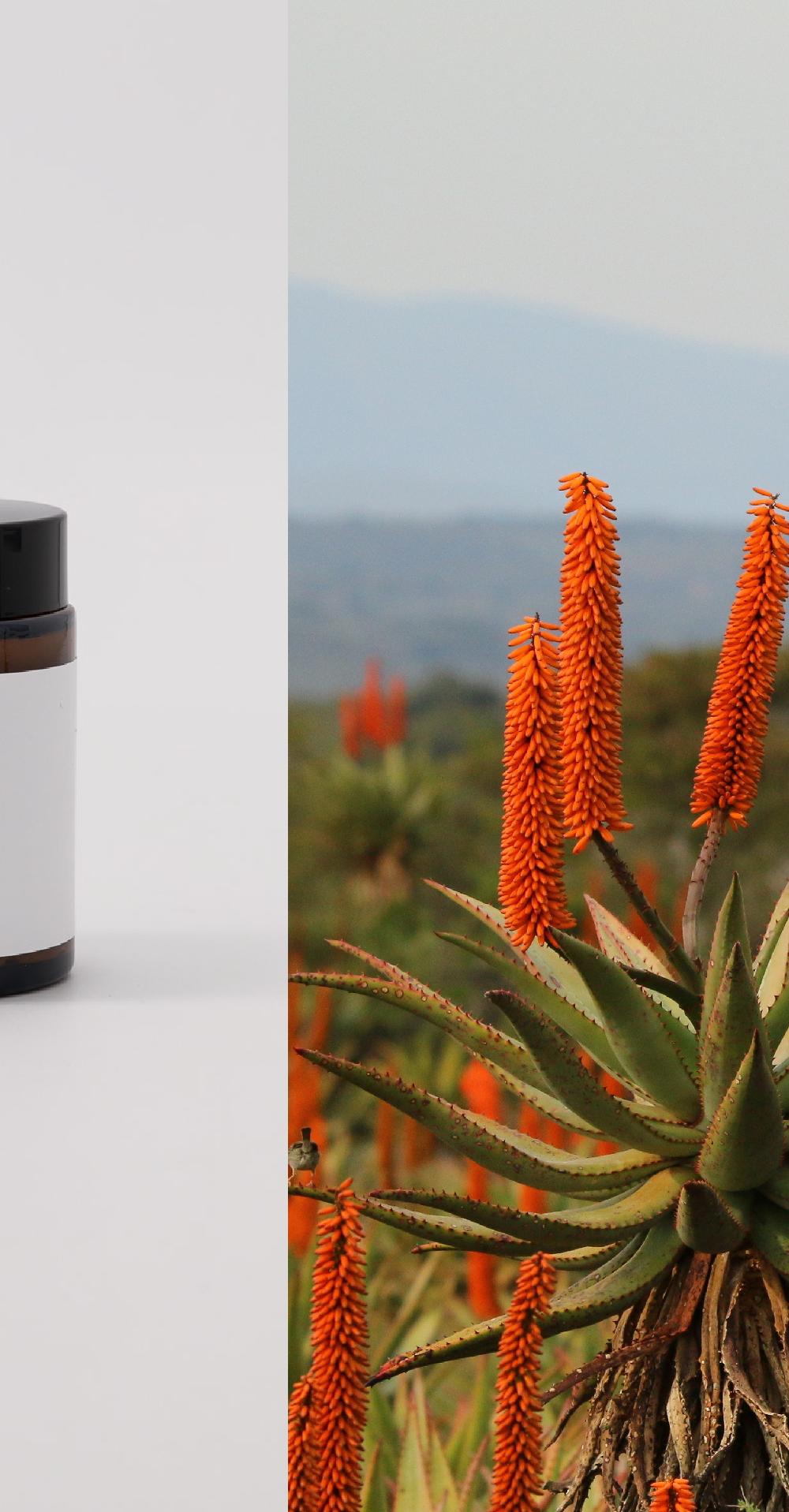 Peeba - The smarter way to buy for your store